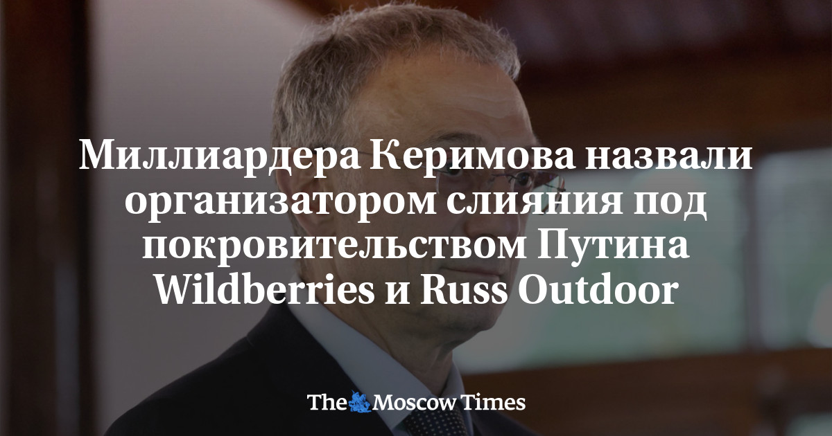 Миллиардера Керимова назвали организатором слияния под покровительством Путина Wildberries и ...