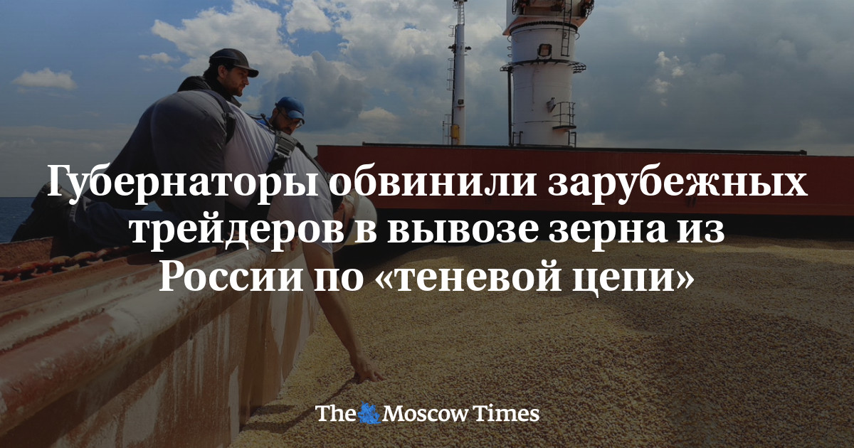 Губернаторы обвинили зарубежных трейдеров в вывозе зерна из России по